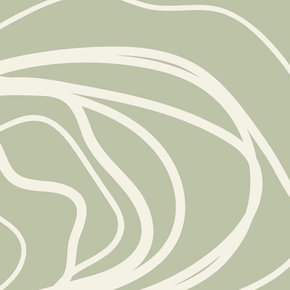 Animationer og illustrationer | Grafisk design bureau Aarhus